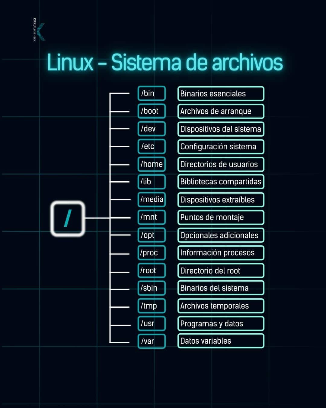 Estructura del sistema en Linux | Curso de Kali Linux